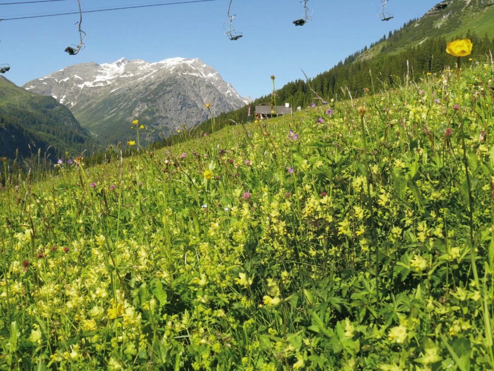 TR DI Michael Manhart - Skilifte Lech am Arlberg - Mountain Manager
